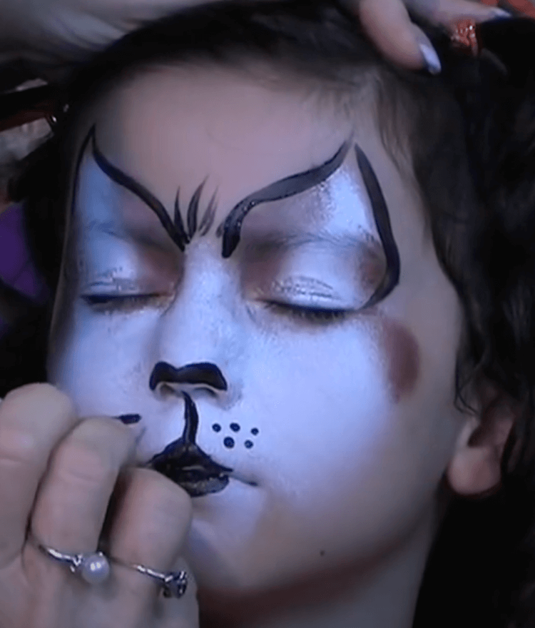 Learn how to paint a face paint a cat face with this step-by-step guid