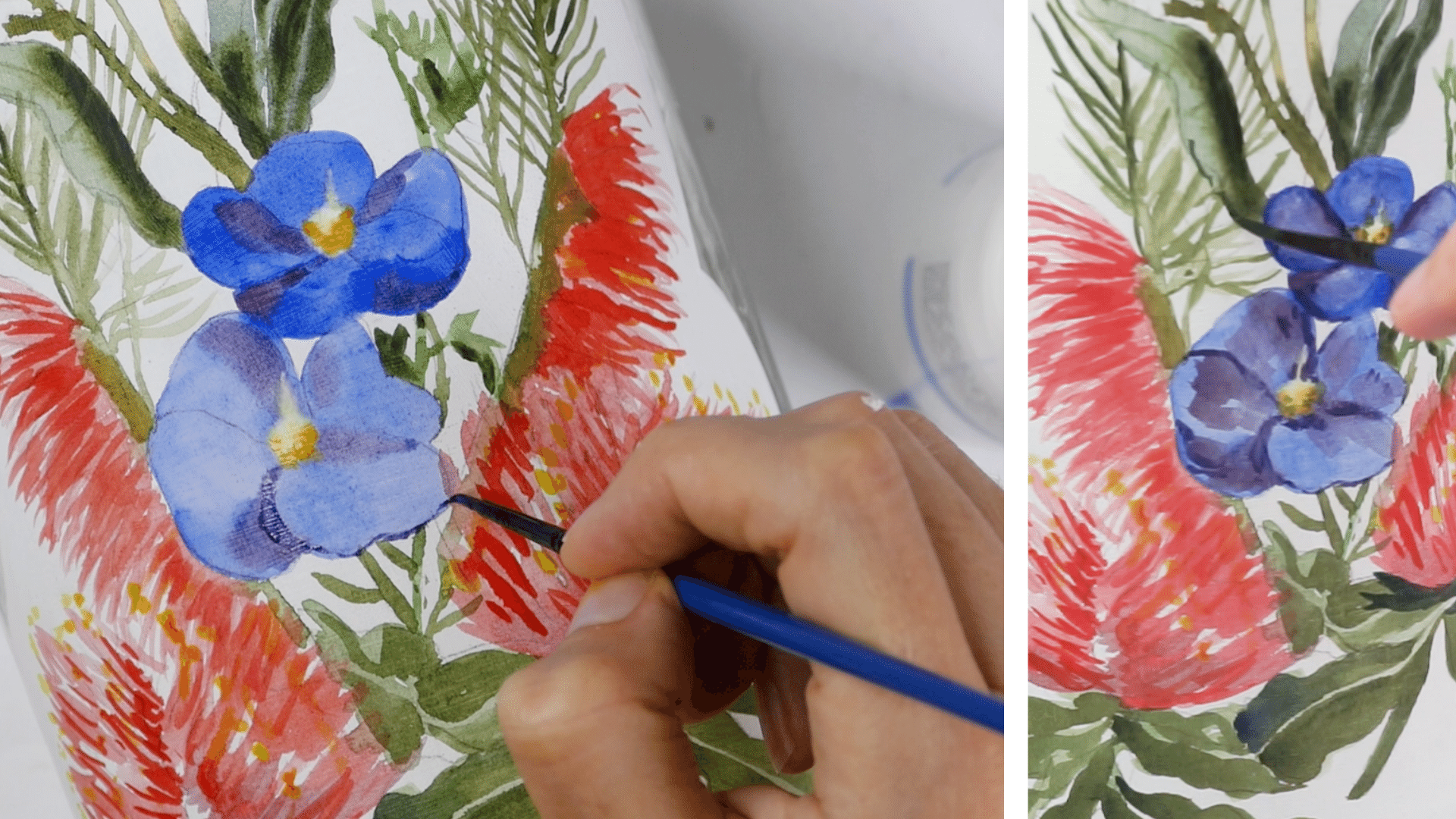 Australian Natives I How to Paint Beautiful Australian Natives